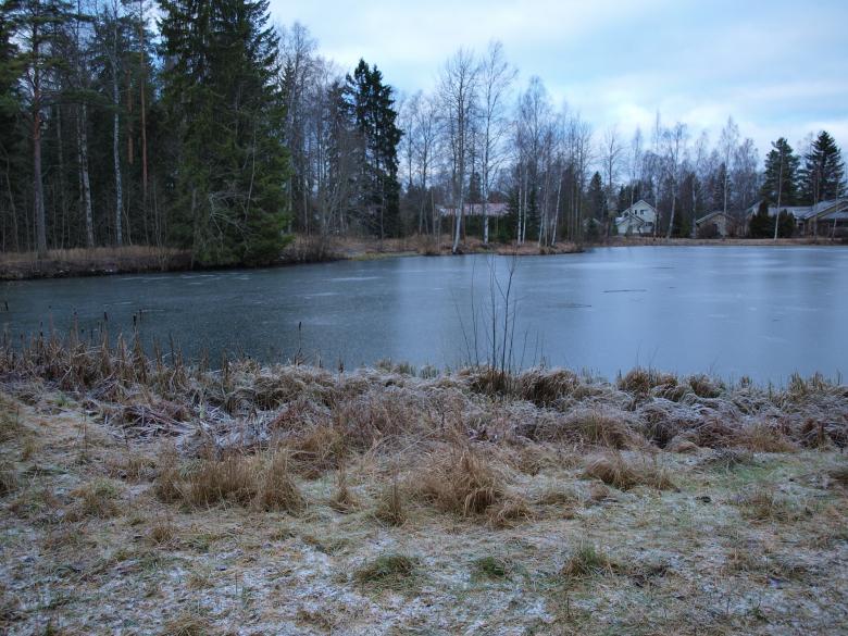Frozen pond - Free Stock Photo by Marko Mäkinen on Stockvault.net