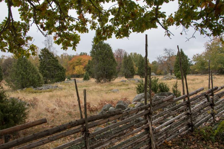 Old school fence - Free Stock Photo by Janis Urtans on Stockvault.net